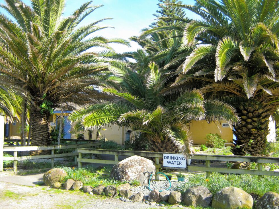 Accommodation - Matauri Bay